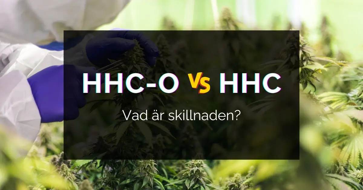 HHC-O vs HHC: Vad är Skillnaden? Vilken är bäst för dig?